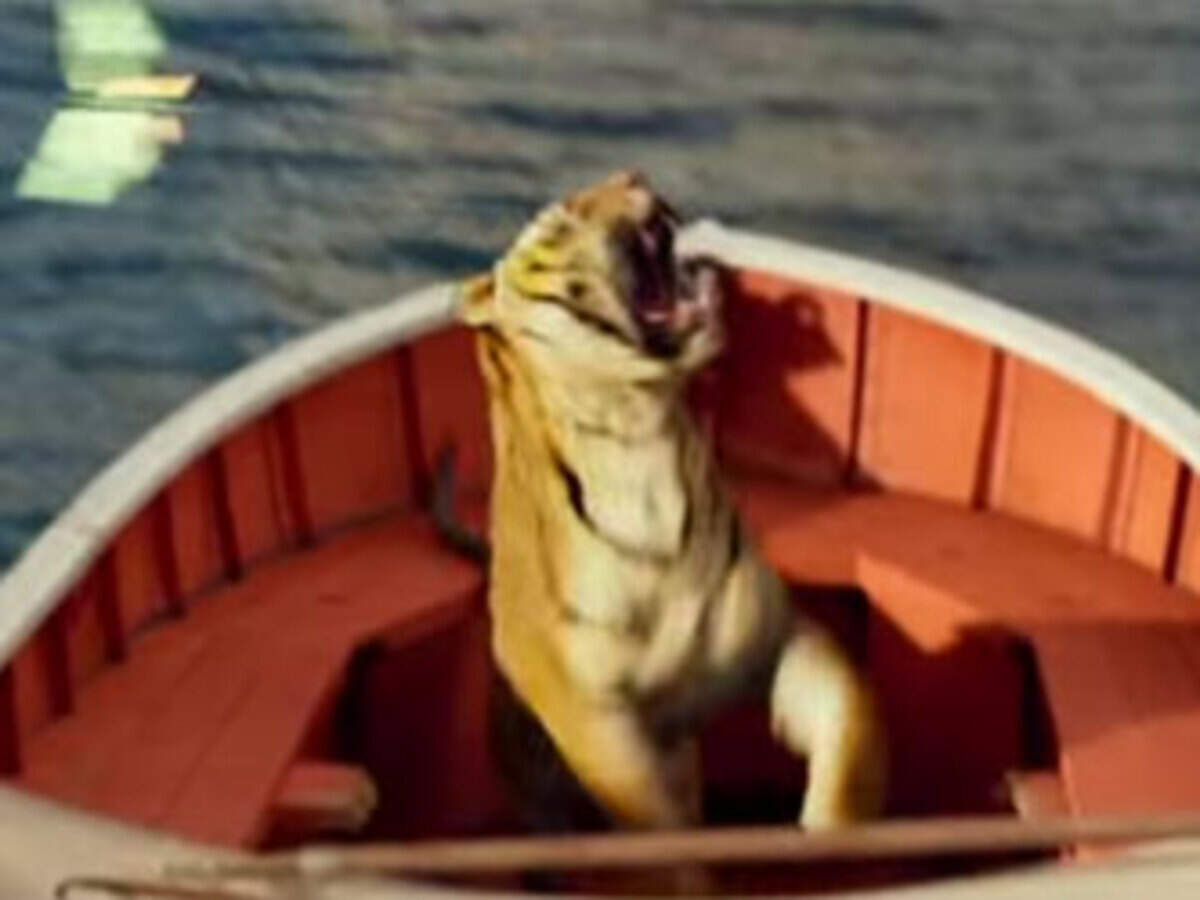 Flying Fish Life Of Pi Golden Village Mr Popcorn Watch LIFE OF PI In