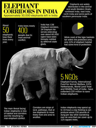 Elephant corridors in India - Times of India