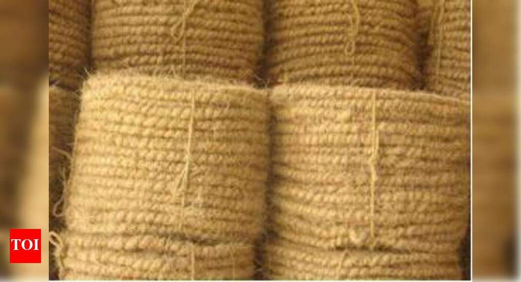 Centre looks to promote use of jute and coir in rural roads - Times of ...