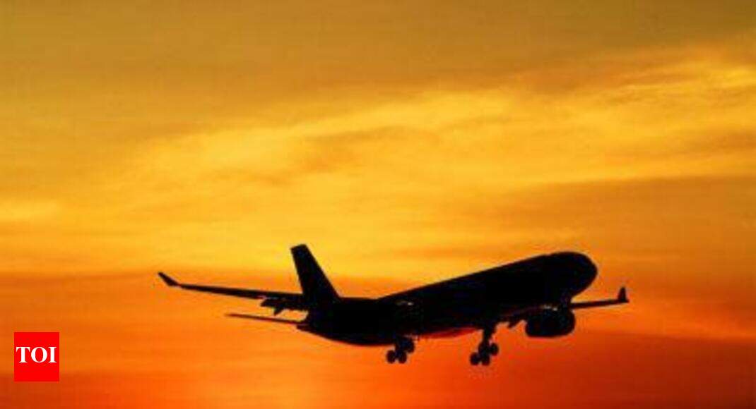 Ahmedabad firm to start MP-Gujarat airline service - Times of India