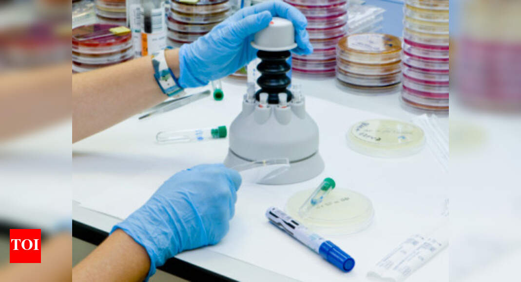 Non-invasive HTMA tests can easily detect lead levels in body - Times ...