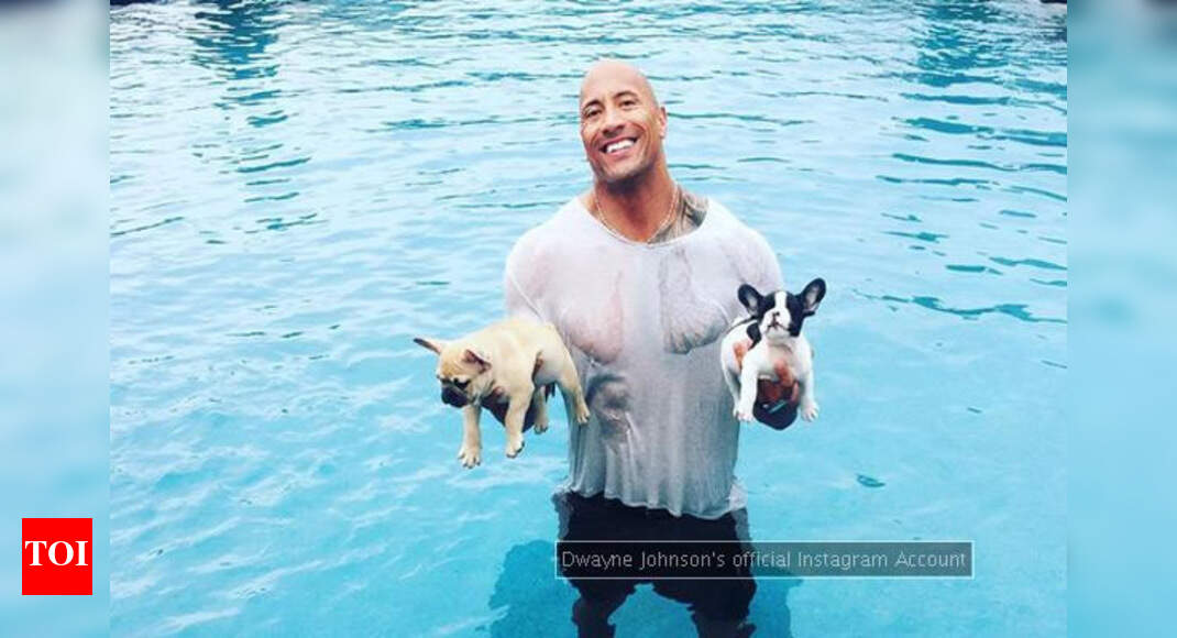 Dwayne Johnson rescues his puppies from drowning in pool | English ...