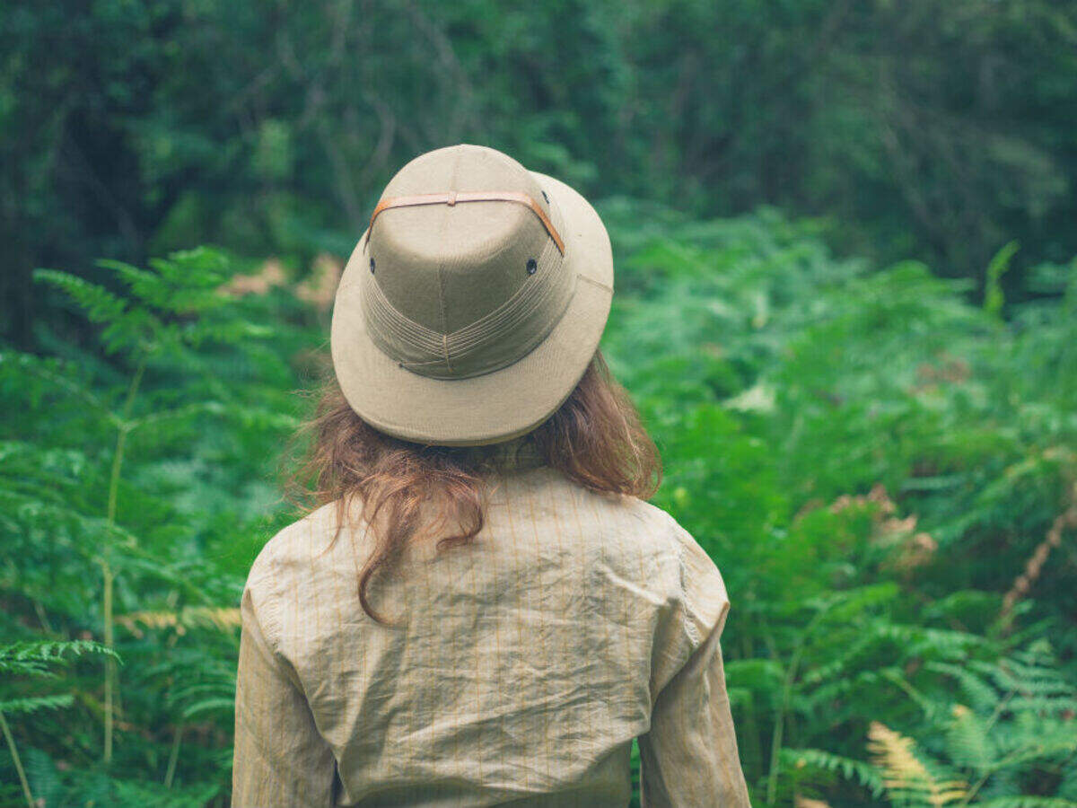 Wildlife Facts‎ | 5 Tips On Living In Proximity With Wild Animals ...