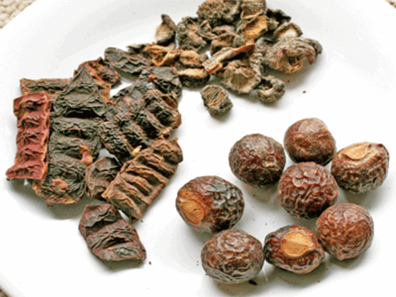 Benefits of using shikakai on your skin - Times of India