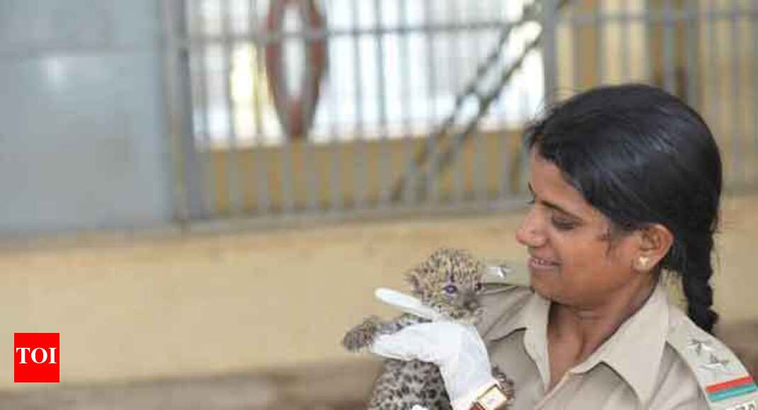 Meet India's only female forest guards in Gir | India News - Times of India