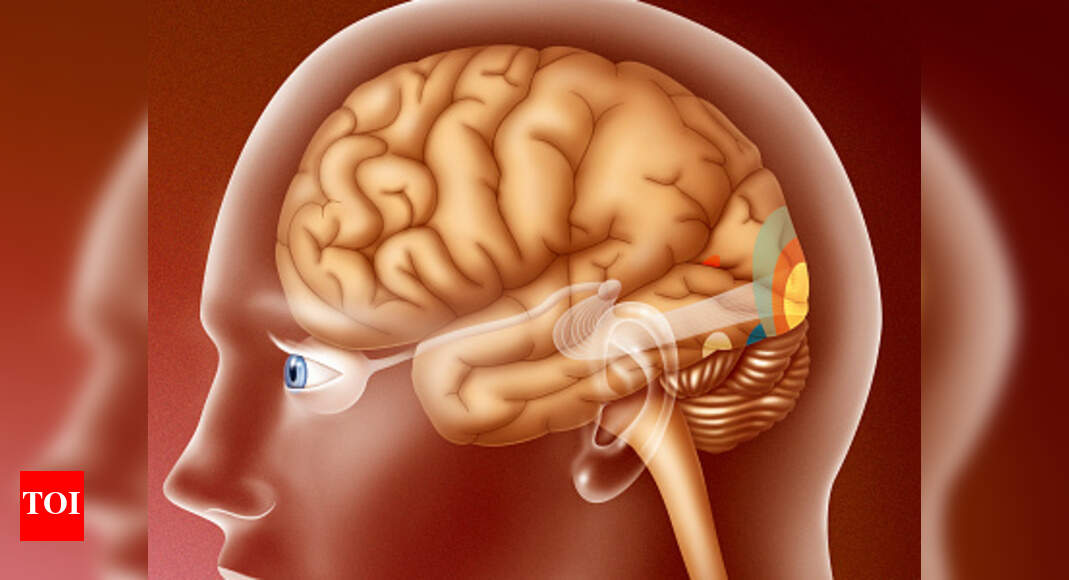 Intelligent people's brains wired differently - Times of India