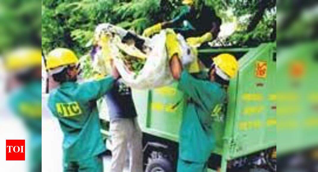 Door-to-door garbage collection in Noida soon - Times of India