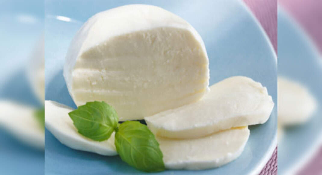 Everything you should know about cheese – Food & Recipes