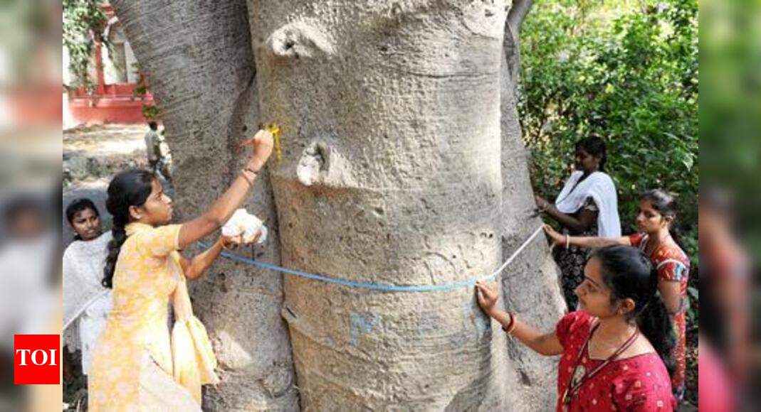AAP govt announces first-ever 'tree census' in Delhi - Times of India