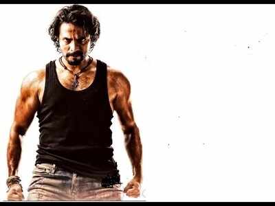 Trailer: Srimurali's Rathaavara | Kannada Movie News - Times of India