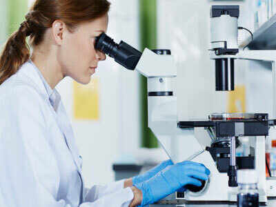 Pvt labs under lens for cheating on dengue tests - Times of India