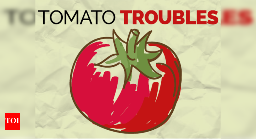 TOMATO TROUBLES | India News - Times of India