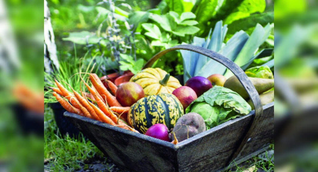 Cooking with seasonal veggies – Food & Recipes