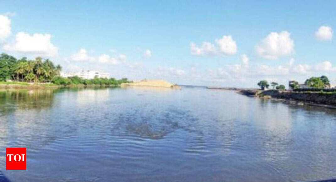 Nature cleans the Cooum, now can we keep it sparkling? | Chennai News ...