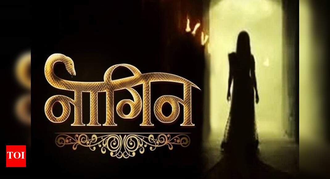 TV Series Review: Naagin- Hisstorically hysterical - The Times of India