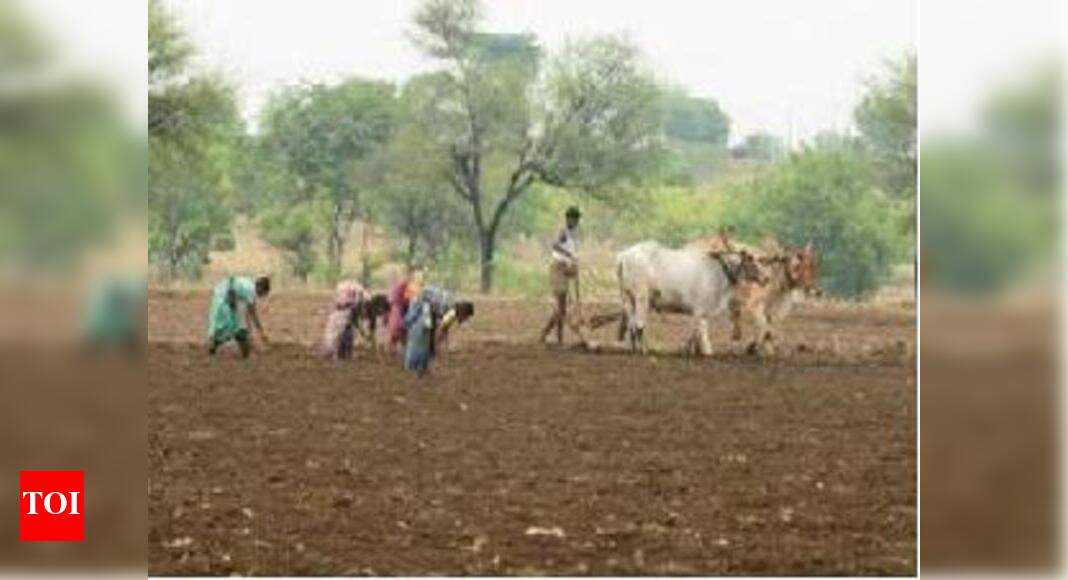 MPs question govt on relief measures for distressed farmers | India ...