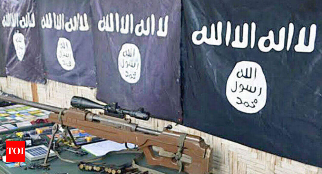 ISIS may have passport printing machine, blank passports: Report ...