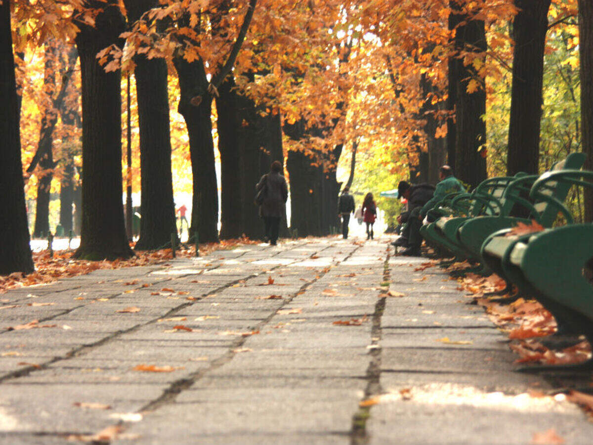 Parks in Bucharest | Places To Visit In Bucharest | TimesTravel