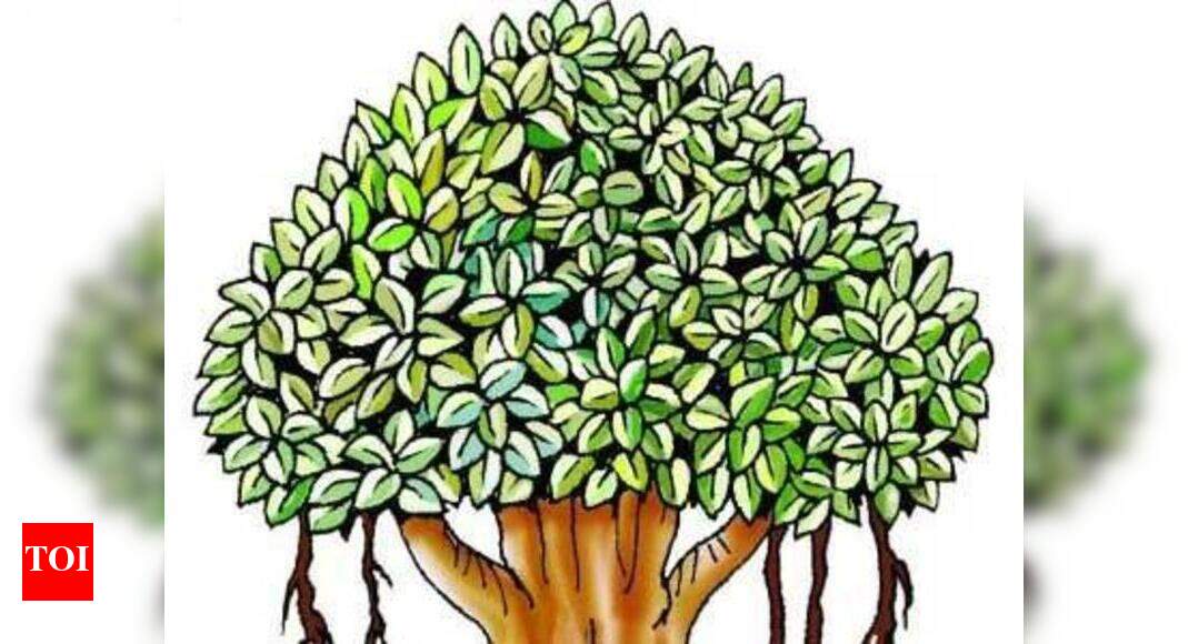 The Speaking Tree: Mind as minefield | India News - Times of India