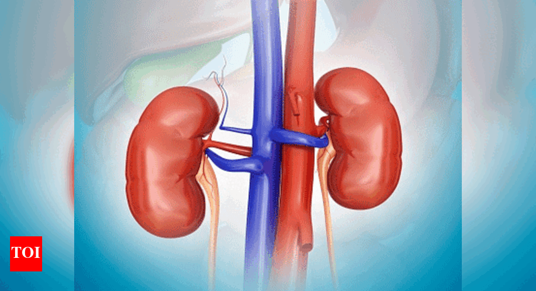 Cadaver kidney donation now online? - Times of India