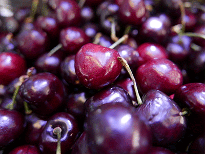 Five health benefits of eating plums - Times of India