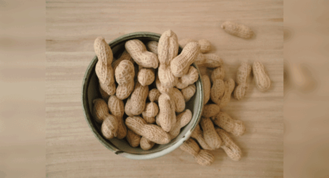 Bean here, done that? Avarekai mela beckons – Food & Recipes