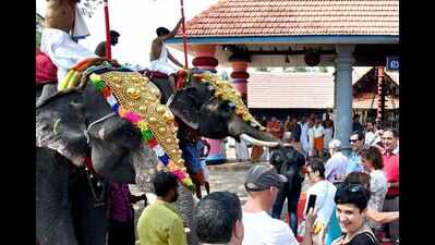District administration orders inquiry into parading of elephants for ...