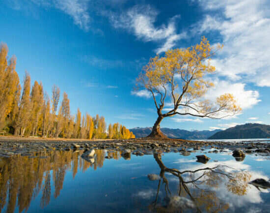 Lake Wanaka - Queenstown: Get the Detail of Lake Wanaka on TimesTravel