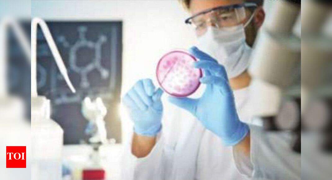 New superbug reaches 19 countries - Times of India