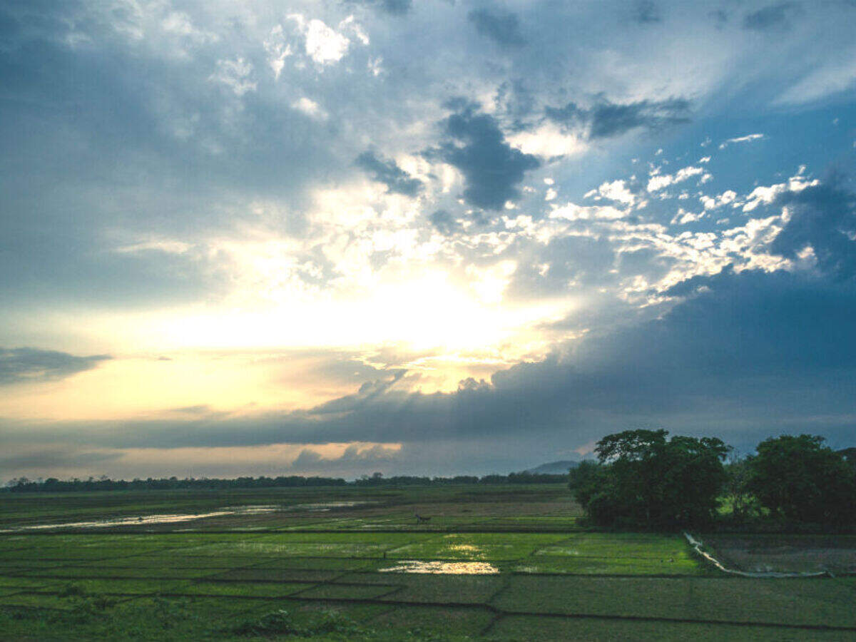 Places To Visit In Assam | Places To Explore In Assam | TimesTravel