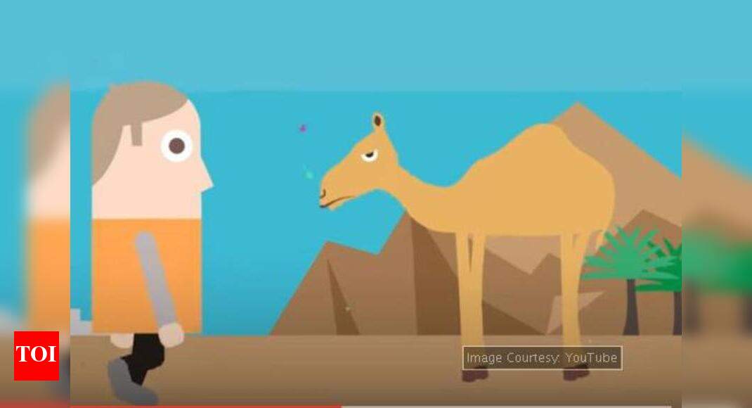 WATCH: Cute animation video promoting animal welfare | English Movie ...