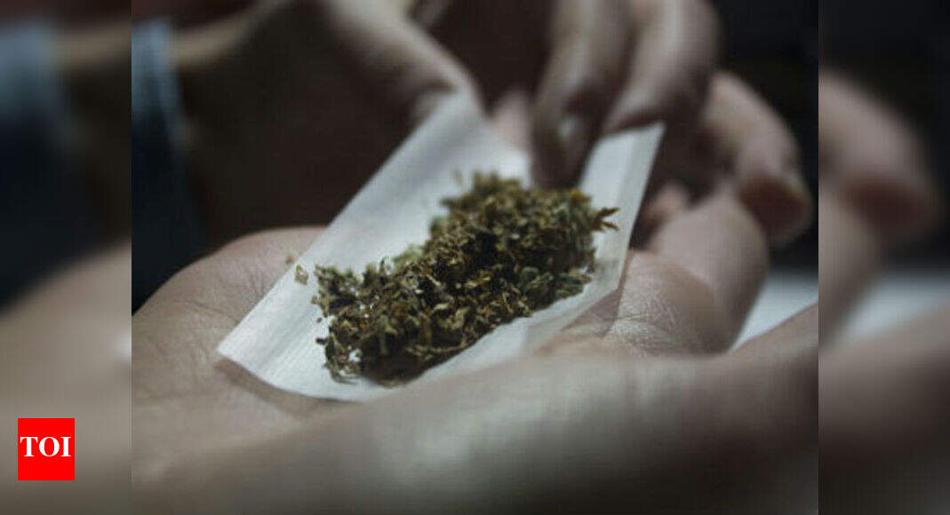 Punjab losing battle against drug addiction, says study - Times of India