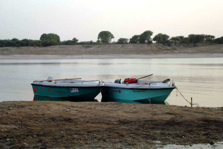 National Chambal Sanctuary | Chambal Wild Life Sanctuary | Times of ...