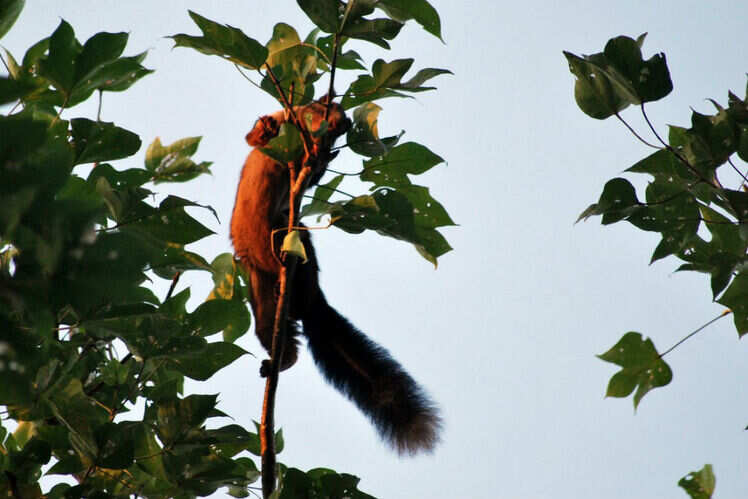 Top 10 National Parks in India | Wildlife Sanctuaries in India | Times ...