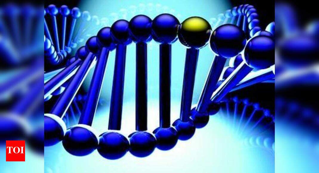 Genes may affect stress fracture injuries: Study - Times of India