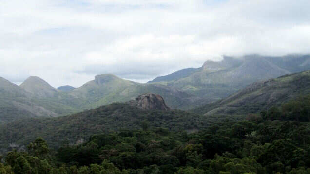 Valparai, Pollachi - TimesTravel