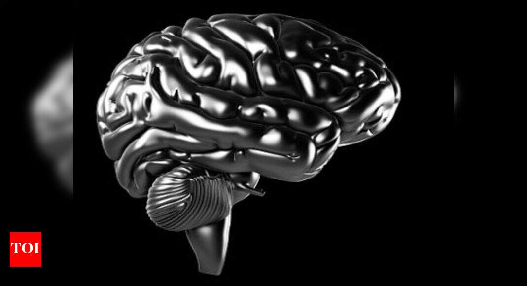 Experts develop 3D 'mini-brains' in US lab - Times of India