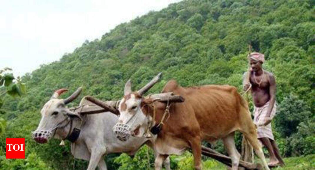 Goa farmers can now apply for Krishi Card online | Goa News - Times of ...