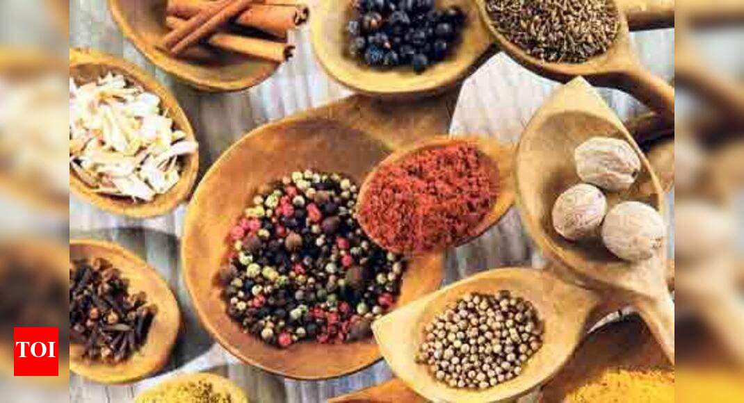 Gujarat to get Spices Park soon - Times of India