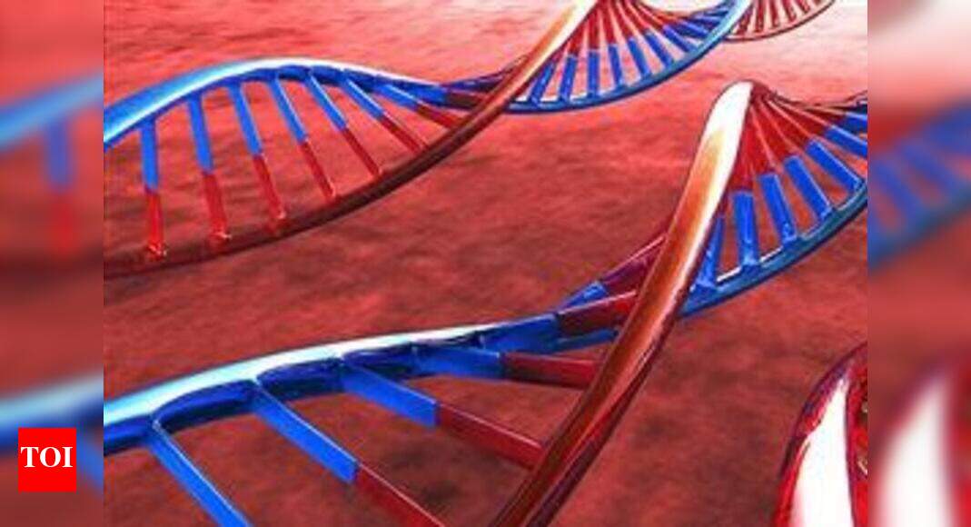 Human DNA to help create faster, cheaper chips soon - Times of India