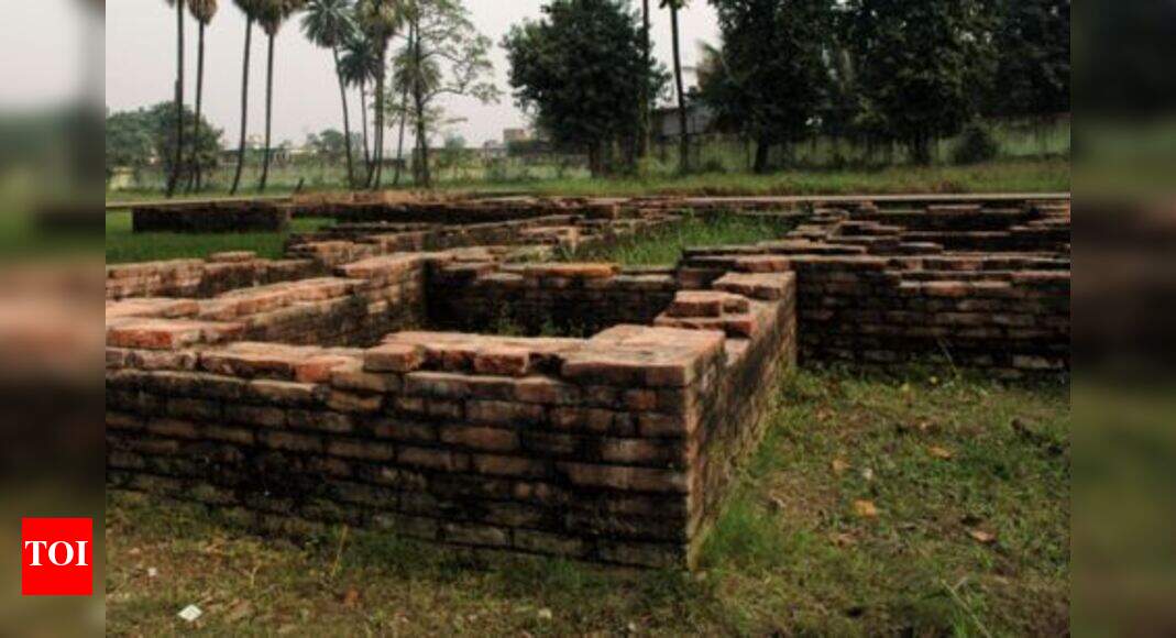 Ruins of ancient city of Patliputra at Kumhrar losing sheen | Patna ...