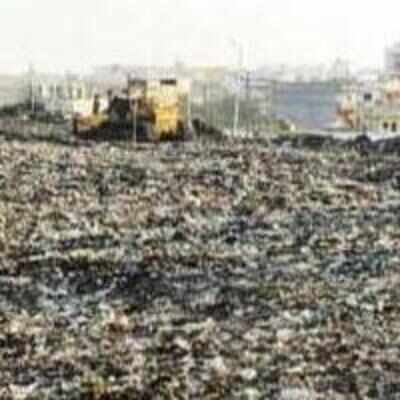 Solid waste mismanagement - Moshi residents live with stench, dogs ...