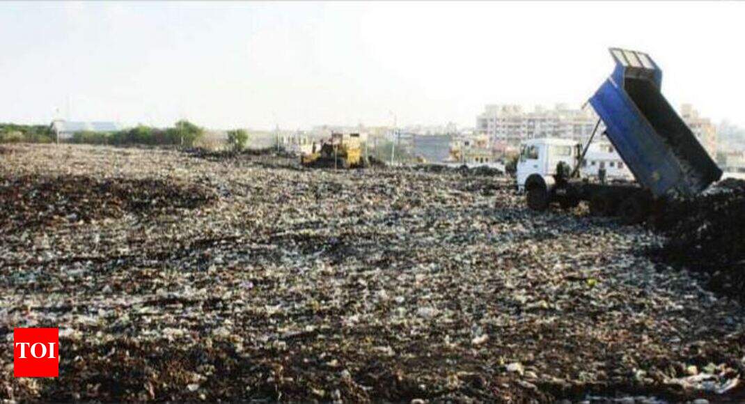 Solid waste mismanagement - Moshi residents live with stench, dogs ...
