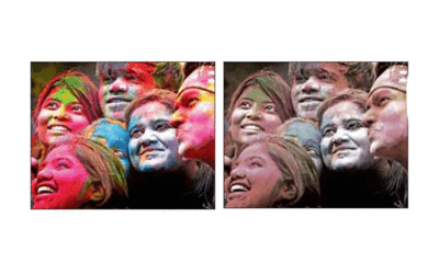 Looking at the world through colour blind eyes | Mumbai News - Times of ...