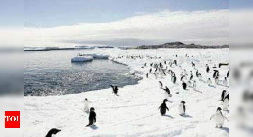 17 Indian explorers spellbound by Antarctica - Times of India