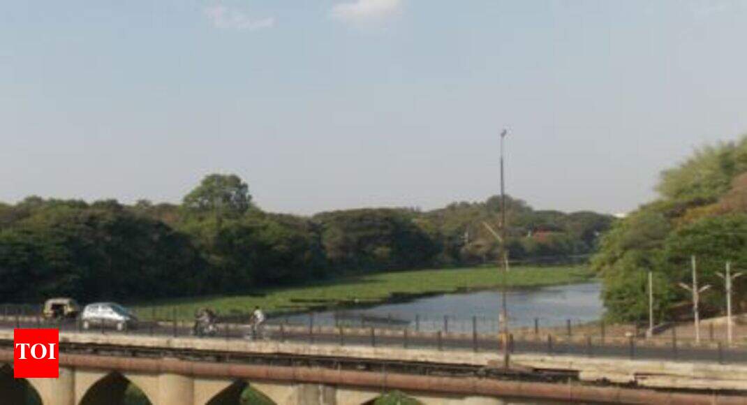 Pune: 100-year-old Holkar bridge is falling down | Nashik News - Times ...