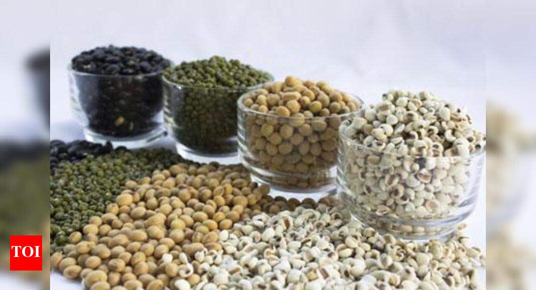 Project launched to enhance millet production - Times of India