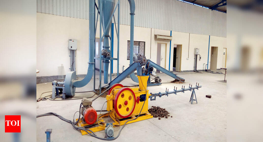 NTPC NETRA started pilot plant to harness green power - Times of India