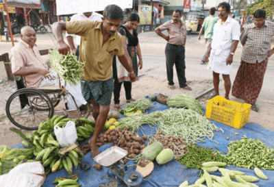 Fresh, off the farms | Chennai News - Times of India