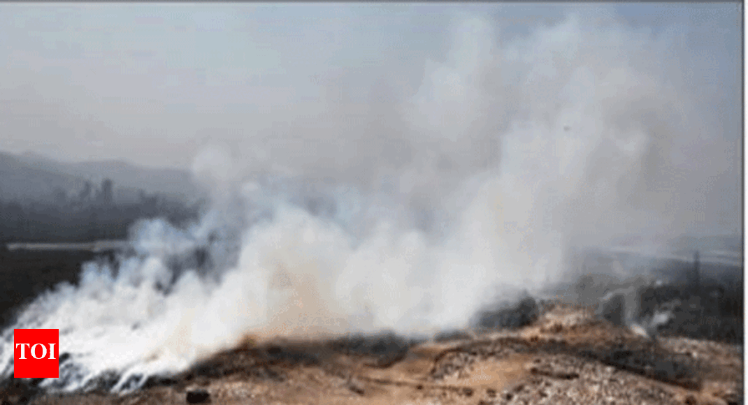Fire breaks out at Mulund dumping ground | Mumbai News - Times of India